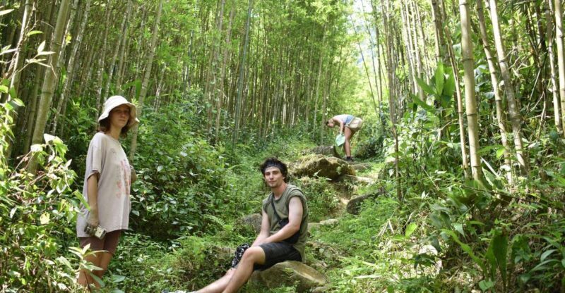 From Sapa: 2D1N Sapa Trekking Tour with Local Expert - Key Points