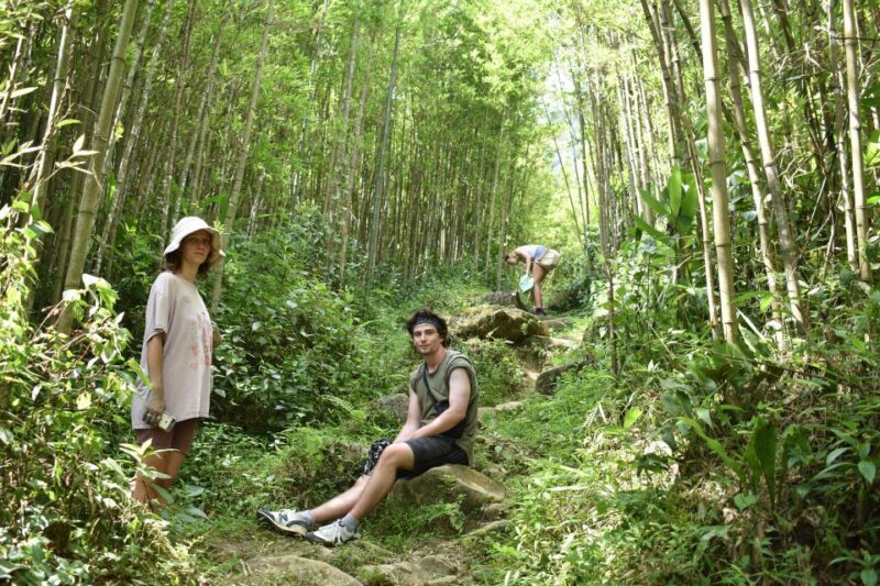 From Sapa: 2D1N Sapa Trekking Tour with Local Expert - A Close Look at the Itinerary and What It Means for You