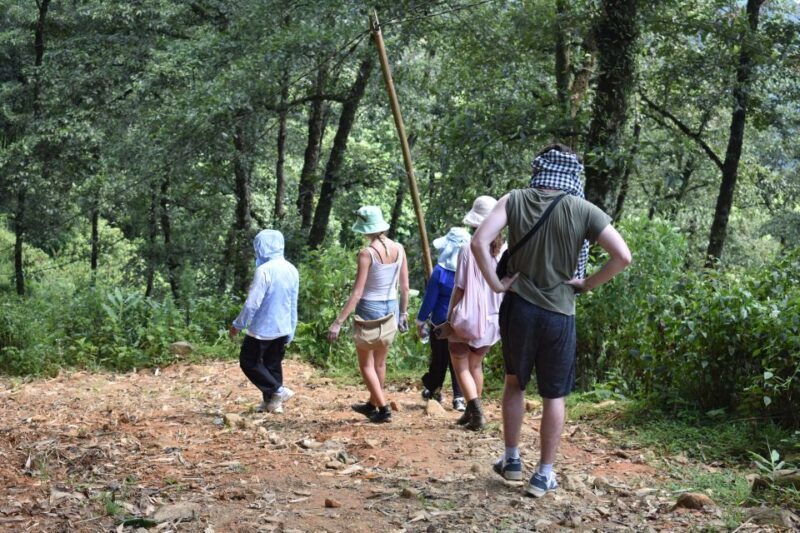 From Sapa: 2D1N Sapa Trekking Tour with Local Expert - Final Thoughts: Is It Worth Your While?