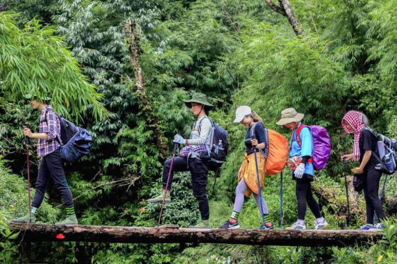 From Sapa: Fansipang Mountain Hike 1 Day - An In-Depth Look at the Fansipang Hike