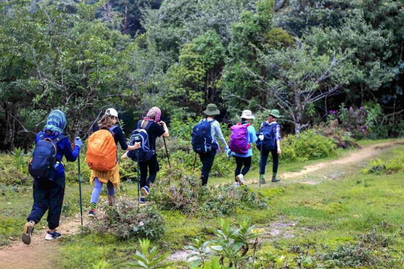 From Sapa: Fansipang Mountain Hike 1 Day - The Real Experience: What Travelers Say