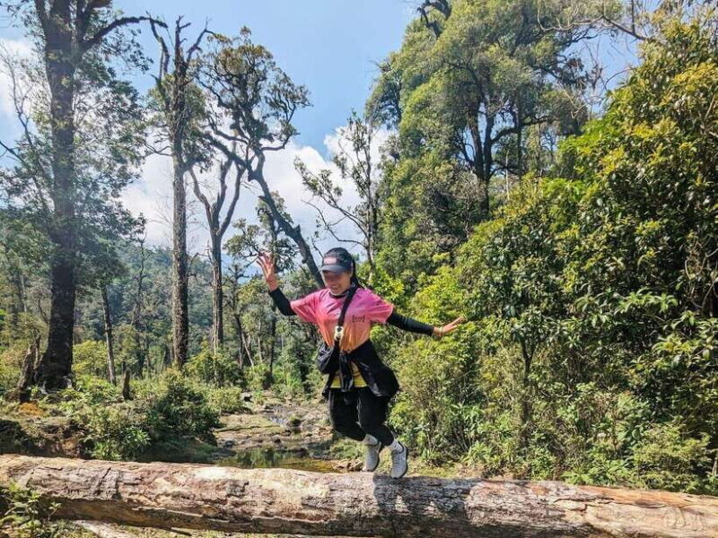 From Sapa: Fansipang Mountain Hike 1 Day - Final Thoughts