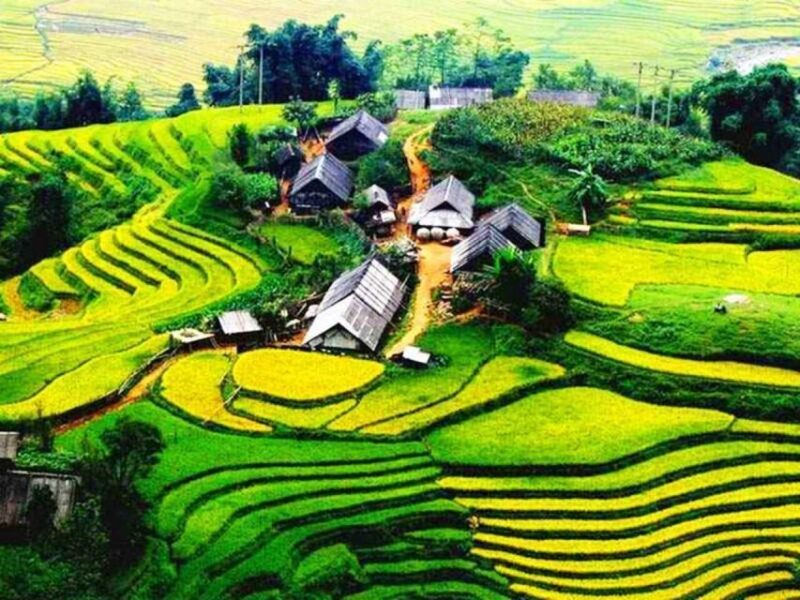 From Sapa: Full-Day Trekking Tour Lao Chai & Ta Van Villages - Key Points