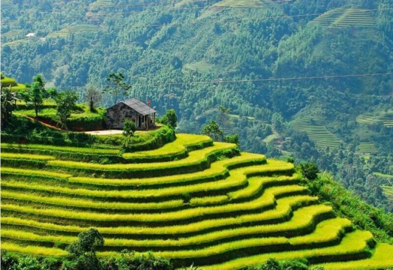 From Sapa: Full-Day Trekking Tour Lao Chai & Ta Van Villages - Authentic Encounters & Practical Tips
