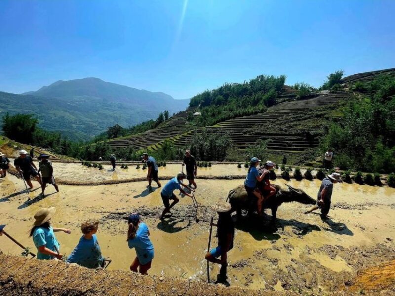 From Sapa: Full-Day Trekking Tour Lao Chai & Ta Van Villages - Who Is This Tour Best For?