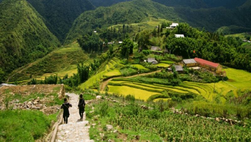 From Sapa: Full-Day Trekking Tour Lao Chai & Ta Van Villages - Final Thought