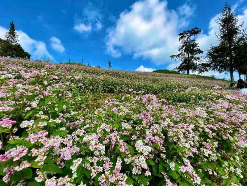 From Sapa: Ha Giang Loop 3 day Motorbike Tour With Rider - Who Should Consider This Tour?