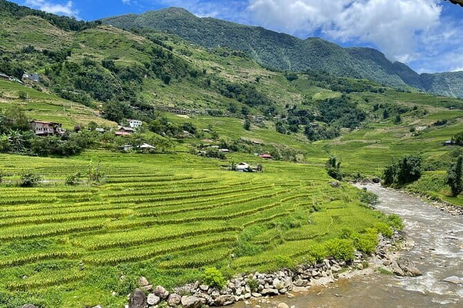 From Sapa: Half-day Guided Trek to Lao Chai & Ta Van with Lunch - A Balanced Look at the Sapa Trekking Experience