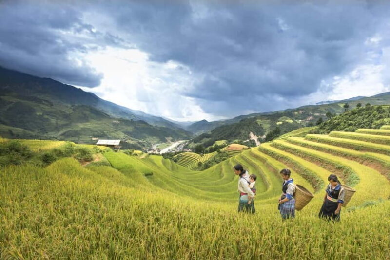 From Sapa Homestay Hideaway 2-Day Local Life Adventure - What’s Included and What to Consider