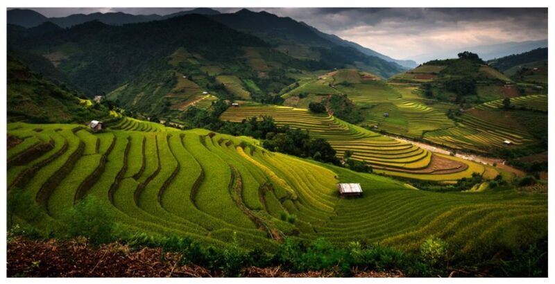 From Sapa: Terrace Fields and Local Villages Trek with Lunch - The Experience in Detail
