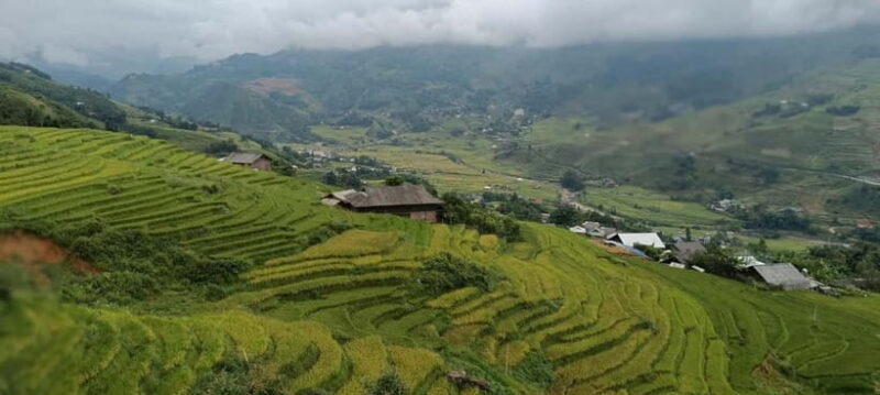 From Sapa Visit Lao Chai/Ta Van/Giang Ta Chai Sleep Homestay - The Experience: Whats Included and What to Know