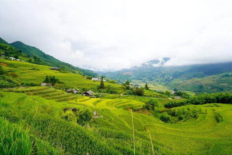 From Sapa Visit Lao Chai/Ta Van/Giang Ta Chai Sleep Homestay - Authentic Encounters and Scenic Rewards