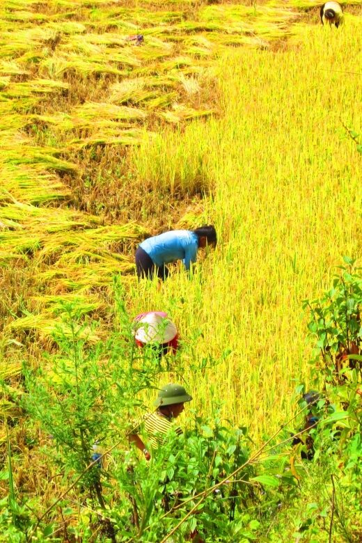 From Sapa: Waterfalls, Trekking and Tribal Villages Tour - The Practical Details