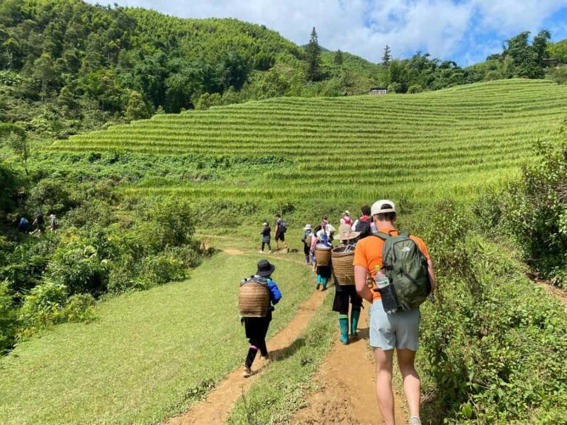 From Sapa: Y Linh Ho, Lao Chai & Ta Van Trek Day Tour - A Closer Look at the Trekking Experience