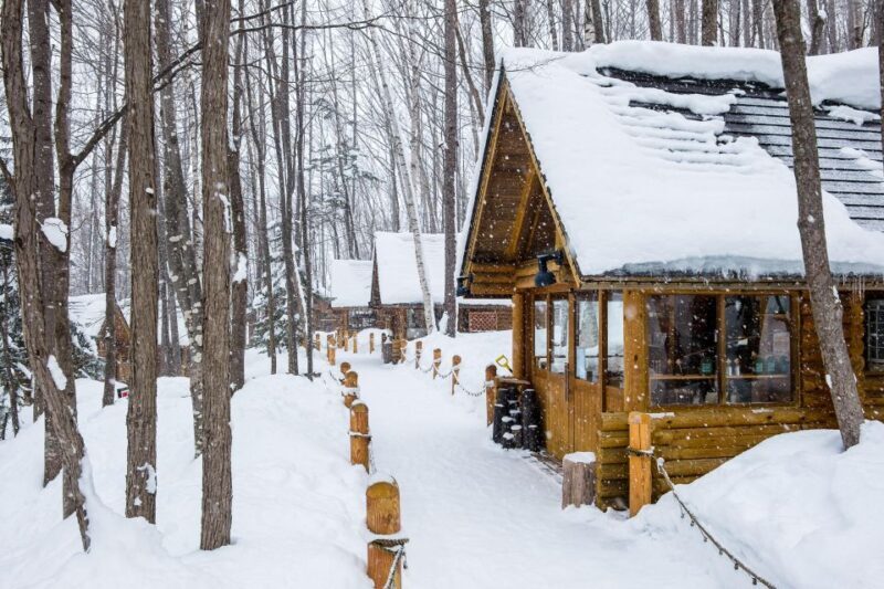 From Sapporo: 10-hour Customized Private Tour to Furano - Exploring the Day Trip: A Deep Dive into Each Stop