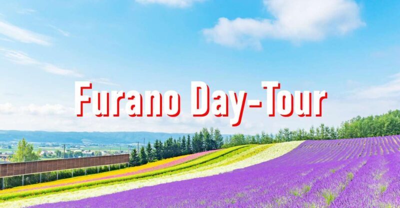 From Sapporo: 10-hour Customized Private Tour to Furano - The Experience & Value