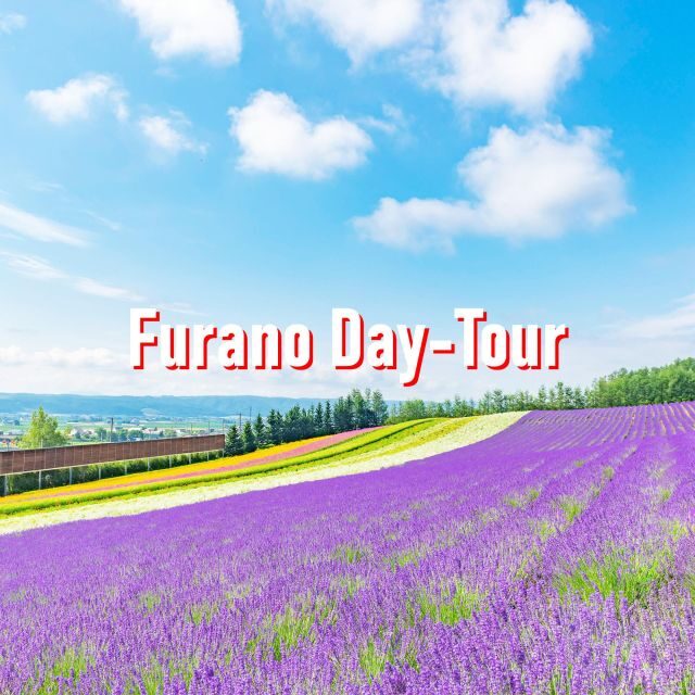 From Sapporo: 10-hour Customized Private Tour to Furano - FAQ