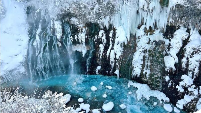 From Sapporo: Asahiyama Zoo, Waterfall & Blue Pond Tour - Experience Overview