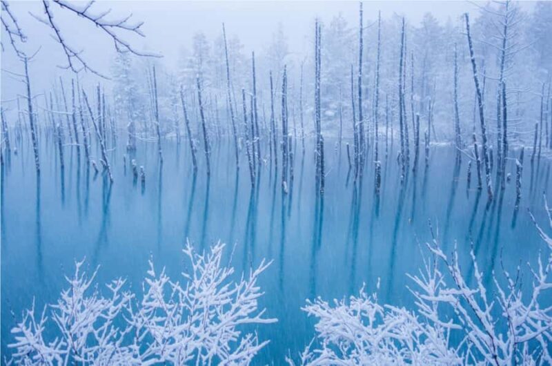 From Sapporo: Biei, Furano or Asahikawa Private Day Trip - Key Points