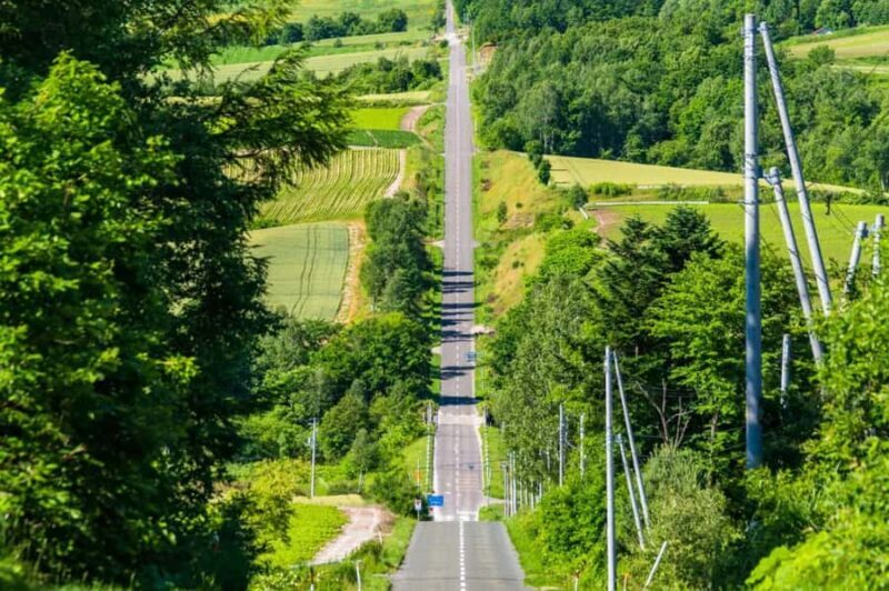 From Sapporo: Biei, Furano or Asahikawa Private Day Trip - Final Thoughts