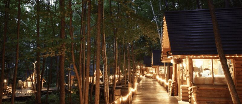 From Sapporo : Hokkaido Furano Tomita Farm Joiner Tour - Optional buffet: Local flavors and Hokkaido specialties