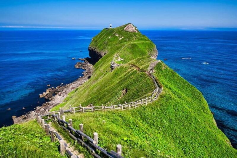 From Sapporo: Hokkaido Highlights Day Trip - Key Points