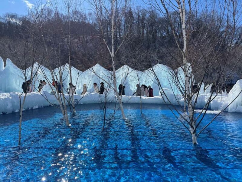 From Sapporo: Lake Shikotsu Ice Festival & Illumination Tour - The Sum Up