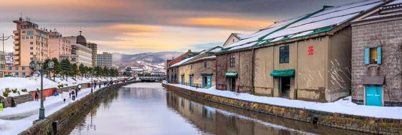 From Sapporo: Otaru & Bibai Snowland Guided Day Tour - Who Should Consider This Tour?