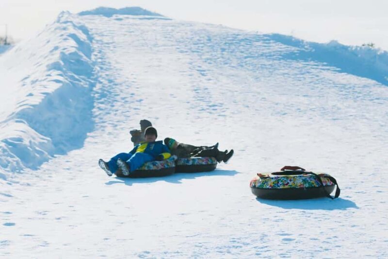 From Sapporo: Otaru & Bibai Snowland Guided Day Tour - The Sum Up