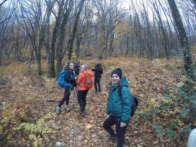 From Sarajevo: Half Day Hiking Tour to Skakavac Waterfalls - Experiencing the Journey: A Deep Dive into the Skakavac Waterfalls Hike