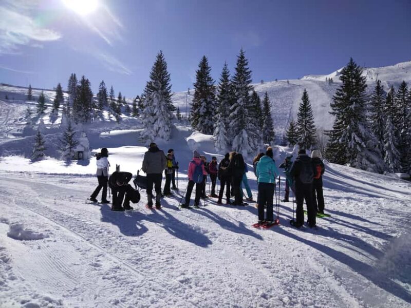 From Sarajevo: Mount Jahorina Snowshoeing Tour - FAQs