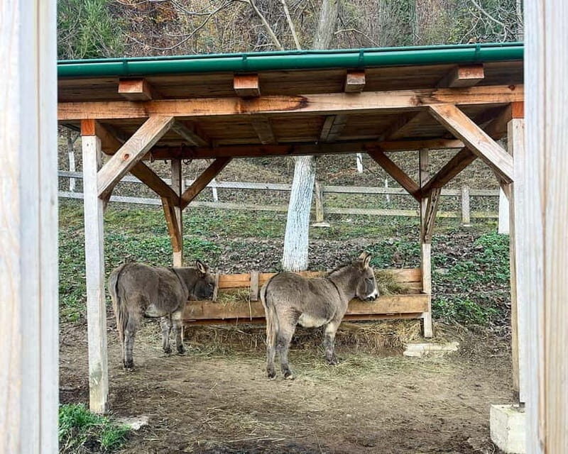 From Sarajevo: Visoko Pyramids, Plantations & Horse Riding - Discover the Charm of Bosnia on the Sarajevo: Visoko Pyramids, Plantations & Horse Riding Tour