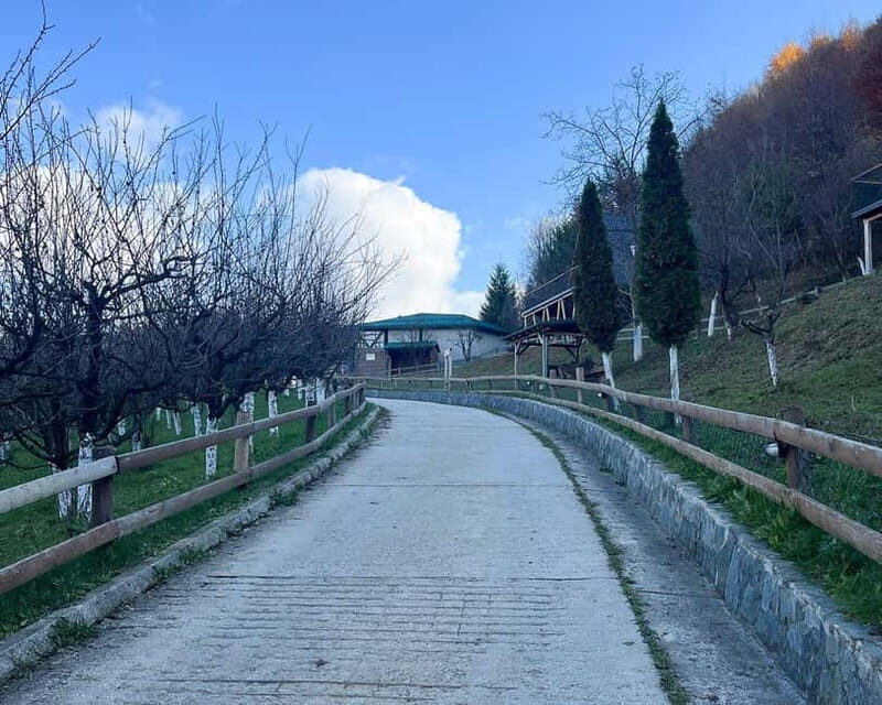 From Sarajevo: Visoko Pyramids, Plantations & Horse Riding - A Closer Look at the Day Trip from Sarajevo