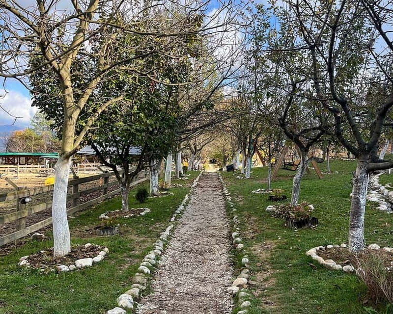 From Sarajevo: Visoko Pyramids, Plantations & Horse Riding - The Sum Up: Is This Tour Right for You?
