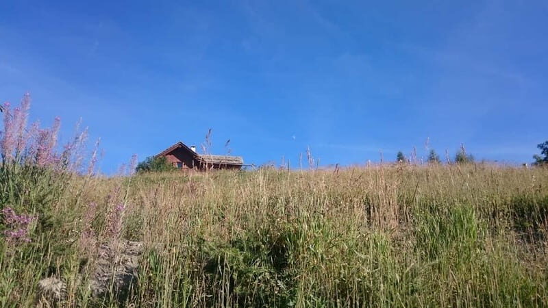 From Sauze d'Oulx to Capanna Mollino: Alpine architecture - Who Will Enjoy This Tour?