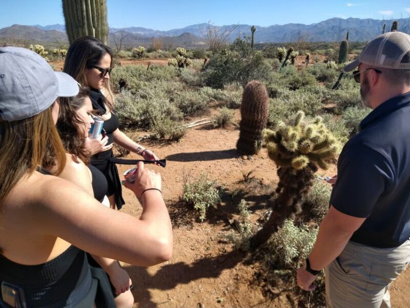 From Scottsdale: Sonoran Desert & Tonto National Forest Trip - A detailed look into the tour experience