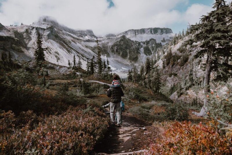 From Seattle - Enchanting Mt Baker & Cascade mountains tours - Key Points