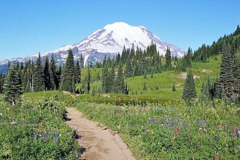 From Seattle: Full-Day Mt Rainier National Park Tour - An Introduction to the Experience