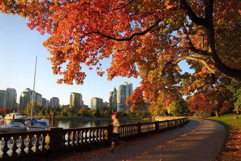 From Seattle - Full Day Private Tour of Vancouver BC ,Canada - Authentic Reviews: What Past Travelers Say