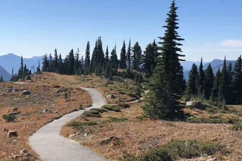 From Seattle: Mount Rainier National Park 1-Day Tour - Transportation and Group Size