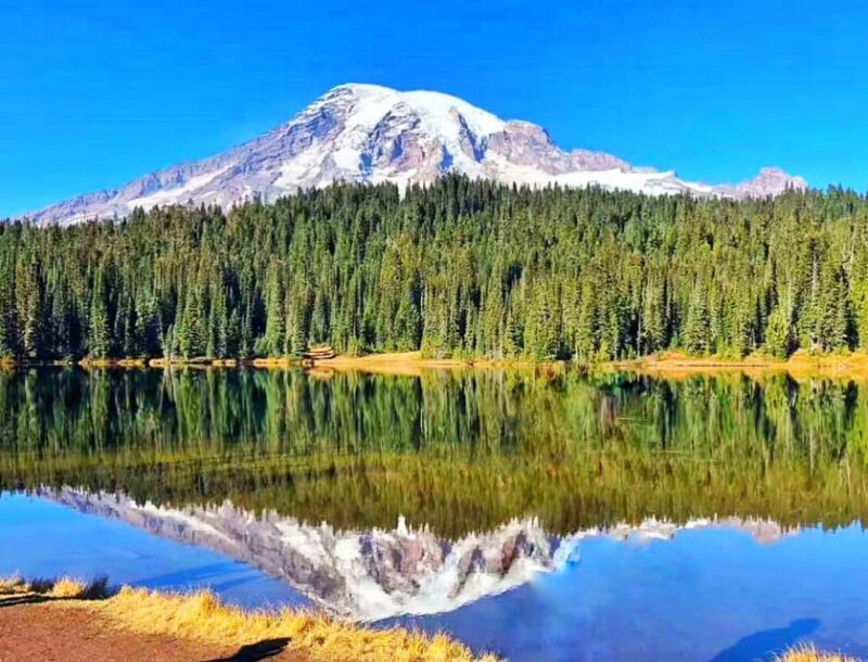 From Seattle: Mount Rainier National Park 1-Day Tour - The Value of the Tour