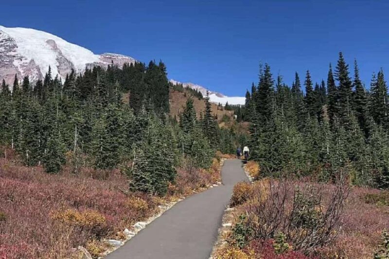 From Seattle: Mount Rainier National Park 1-Day Tour - Practical Tips for Travelers