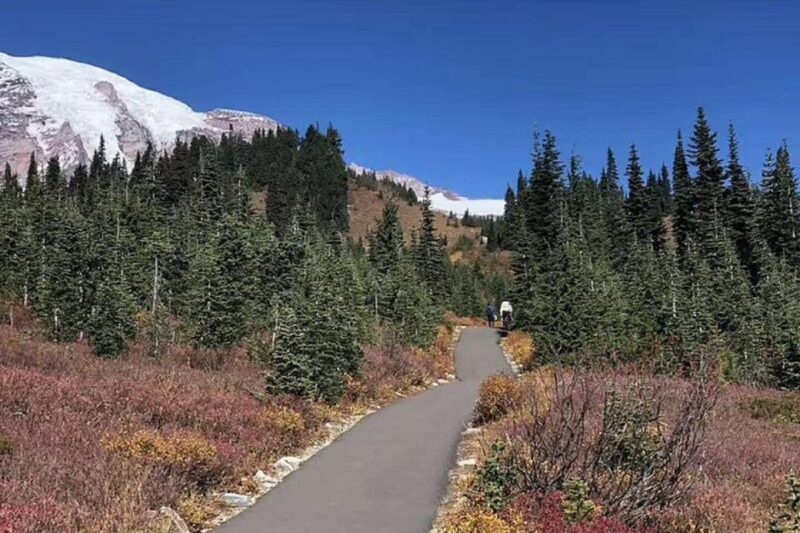 From Seattle: Mount Rainier National Park 1-Day Tour - Why Choose This Tour?