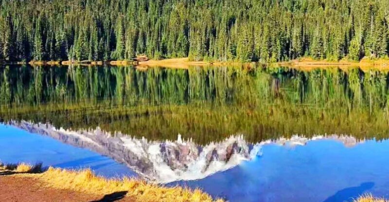 From Seattle: Mount Rainier National Park 1-Day Tour - The Itinerary in Detail
