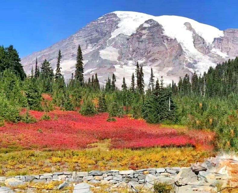 From Seattle: Mount Rainier National Park 1-Day Tour - Who is This Tour Best For?