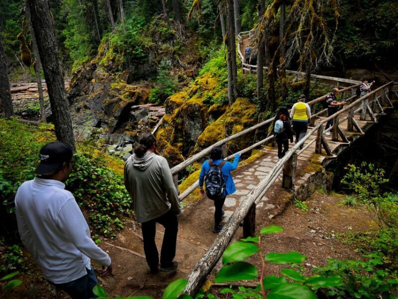 From Seattle: Mount Rainier National Park Guided Tour - Who Will Love This Tour?