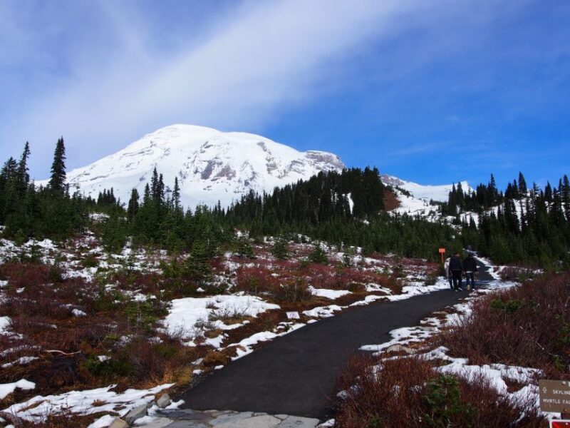 From Seattle: Mount Rainier National Park Guided Tour - Starting Off: What’s the Tour All About?