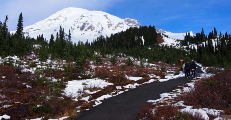 From Seattle: Mount Rainier National Park Guided Tour - Timing and Duration: How It Works in Practice