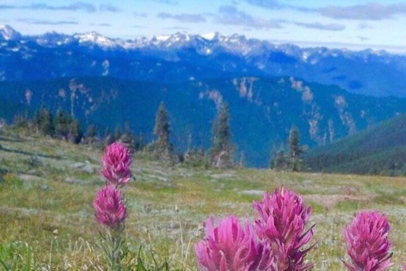 From Seattle: Olympic National Park Full Day Tour - The Itinerary: Step-by-Step Breakdown
