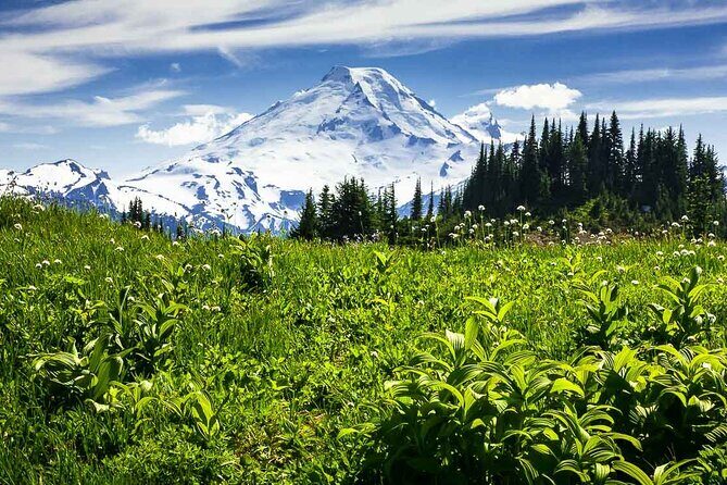 From Seattle - Private Mt Baker and Cascades Tour in SUV - The Value Question: Is It Worth the Price?